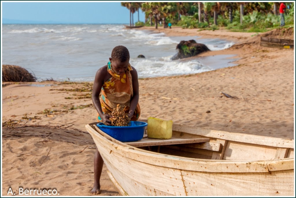 SIBISNUS: UGANDA: BUTIABA (LAGO ALBERTO) - RUIGO (KIBELE CRÁTER)
