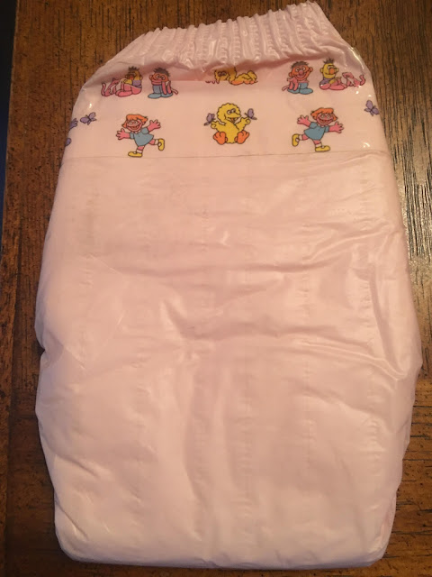 The Diaper Service: Plan A The Waste-to-energy plant (Continued-1)