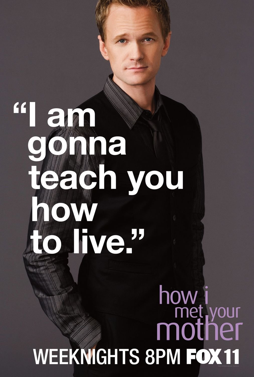 How I Met Your Mother Poster Gallery5 | Tv Series Posters and Cast