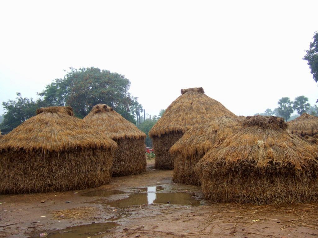 ANICCASIGHT: Sujata Village - Bodhgaya