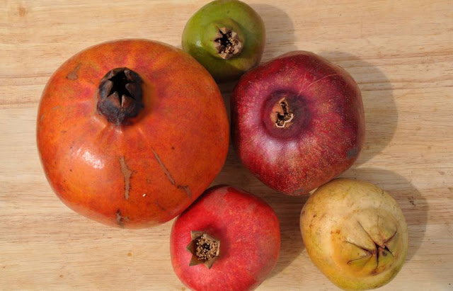 Este hombre está trabajando para darnos las granadas más bonitas del mundo.