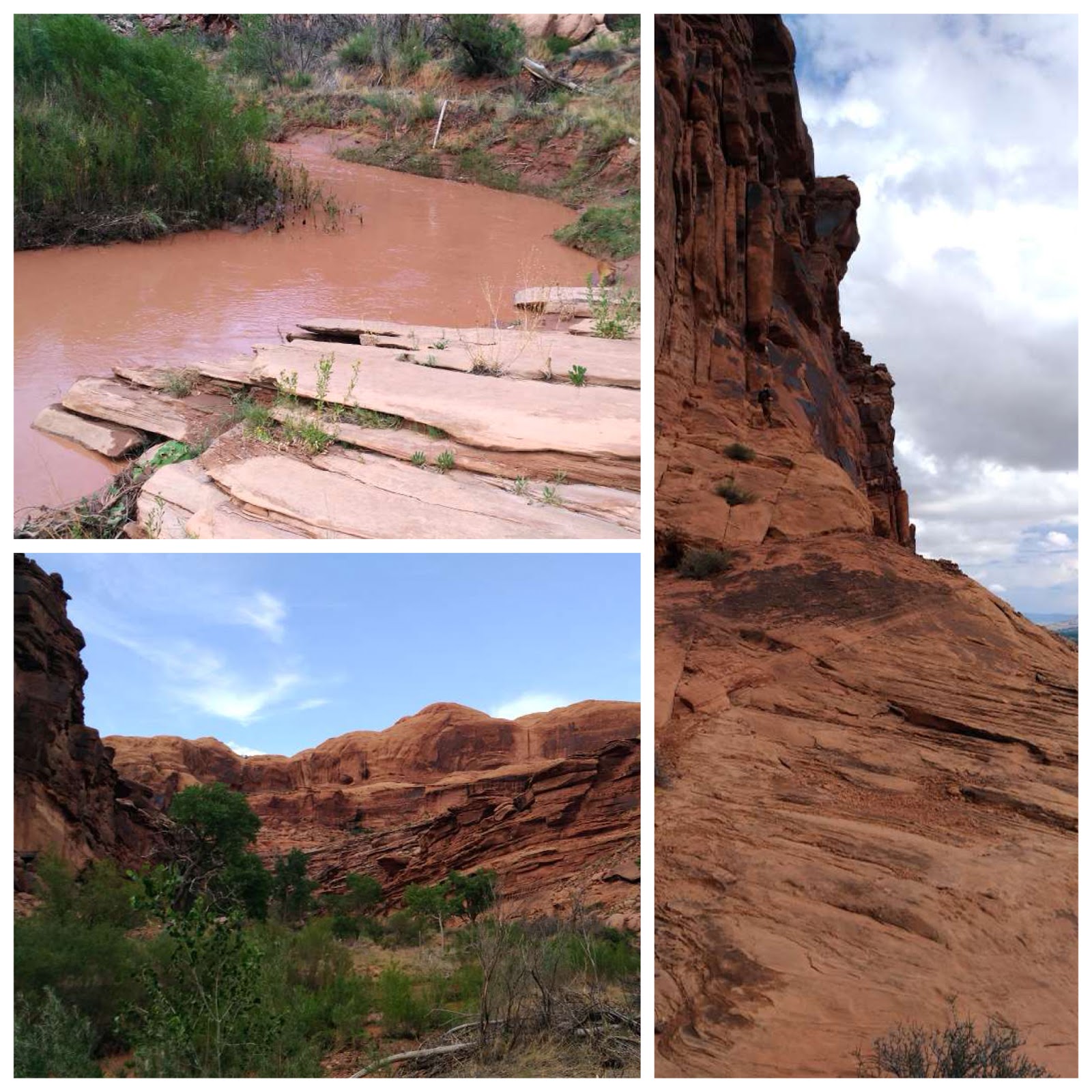 Courthouse Wash petroglyphs