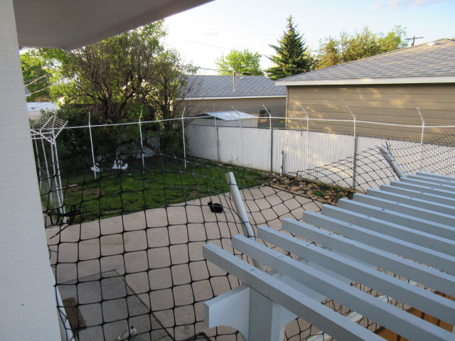 Cat Fence made from pvc pipe: Cat Fence overview