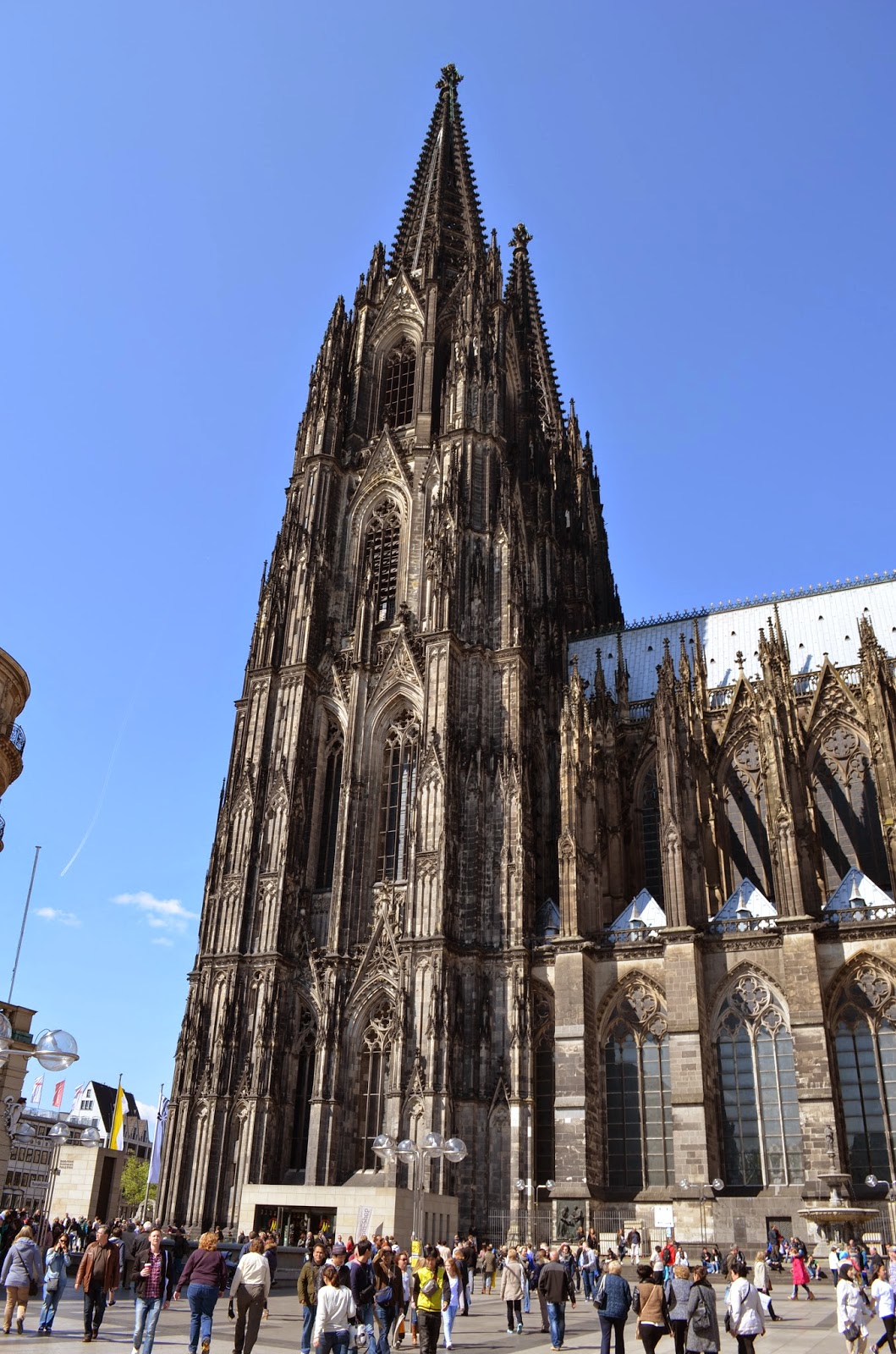 C'Obs: The Scent of Cologne