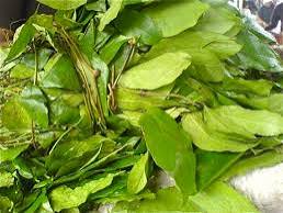 NIGERIA LEAFY VEGETABLES AND THERE BENEFITS