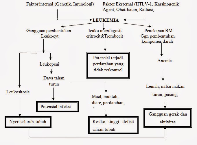 berbagi tentang keperawatan: LP LEUKEMIA LIMFOBLASTIK AKUT (ALL)