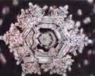 Mente, energía y máquinas: Masaru Emoto