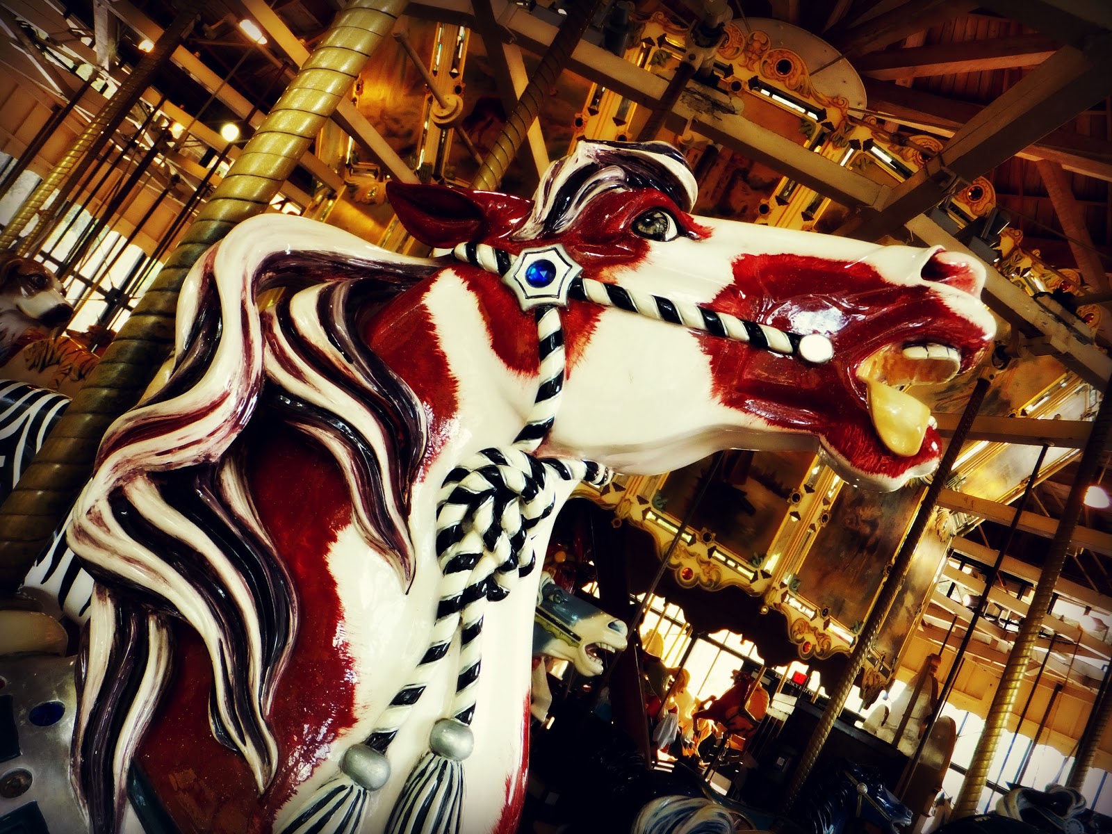 Photography: Series Project: Carousel Animals 1