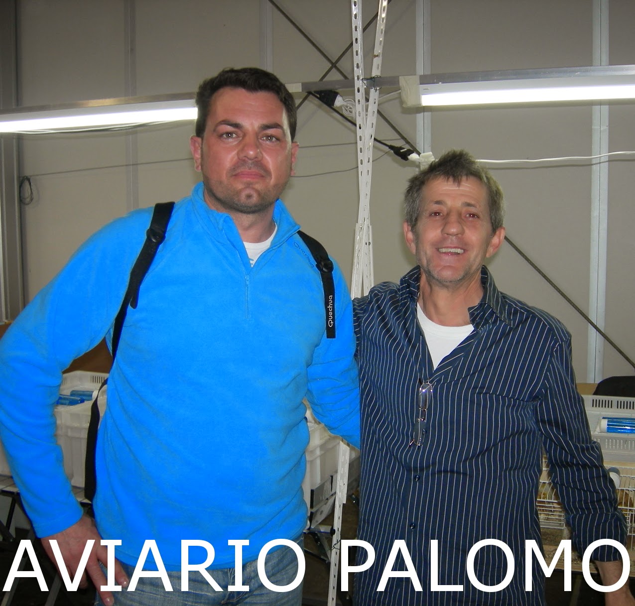 AVIARIO PALOMO: JUNTO A LOS MÁS GRANDES...