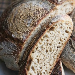 Bread Box Round Up for May 2016 | Karen's Kitchen Stories