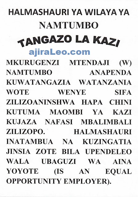 15 Job Vacancies at Namtumbo District Council - Deadline 25th January ...