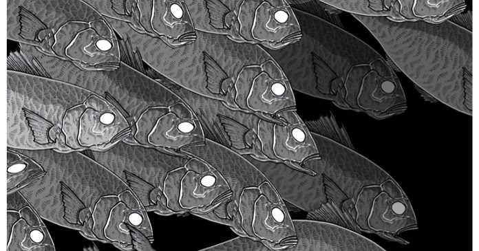 Diamond Rags: Adam Jones' new artwork for TOOL.