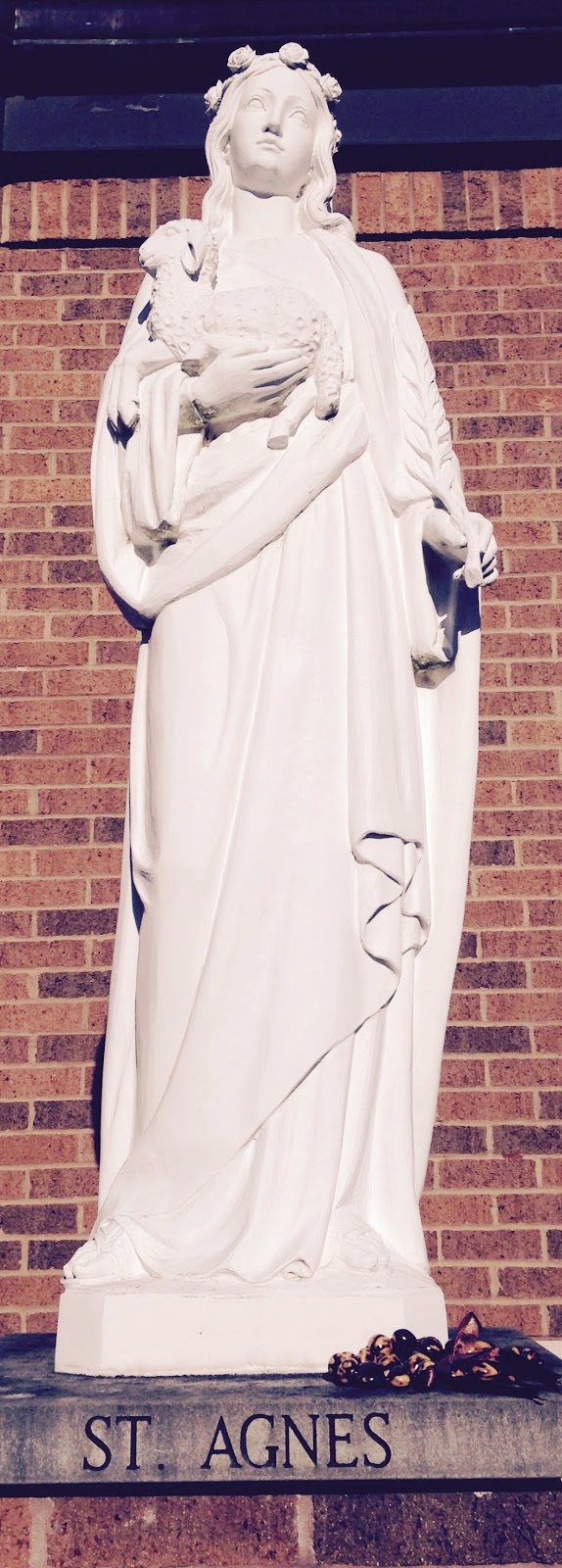 Servant and Steward: Homily - 22 January 2017 - On Saint Agnes of Rome