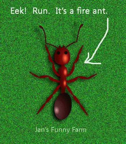Jans Funny Farm: Fire Ant Detector