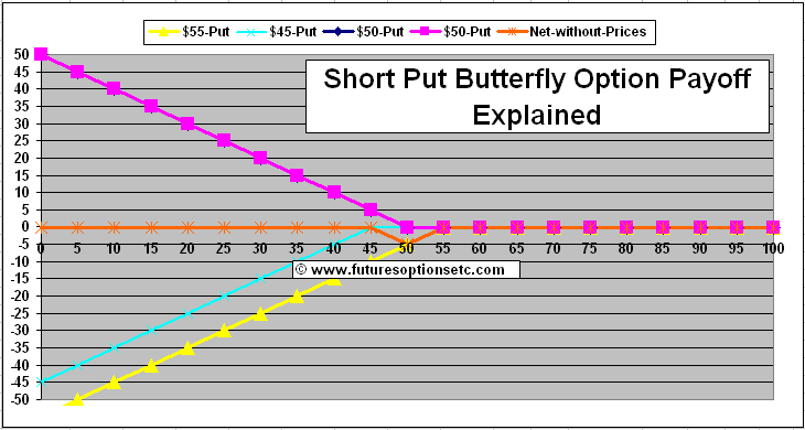 Short Put Butterfly Options Trading Explained: Example & Payoff Charts ...
