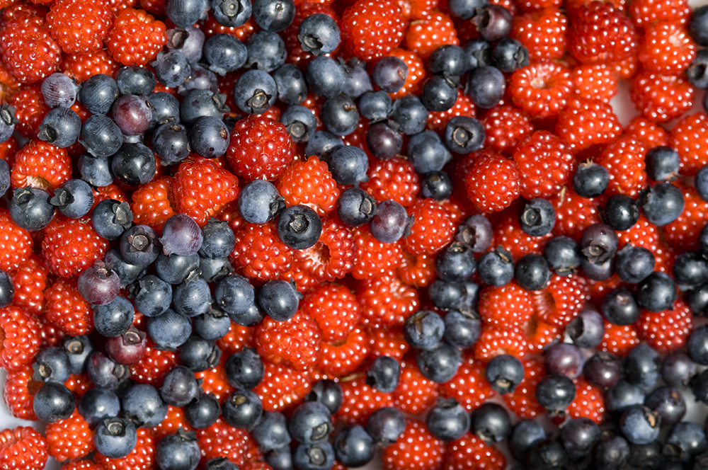 The 3 Foragers: Foraging for Wild, Natural, Organic Food: Preserving ...