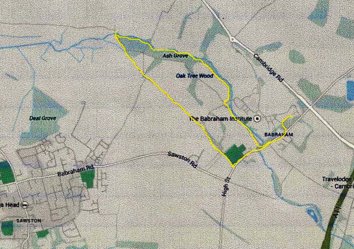 Montesymasdebucuesa: 35-14. PASEO POR LOS ALREDEDORES DEL BABRAHAM ...