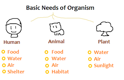 SCIENCE: Basic Needs of Organism.