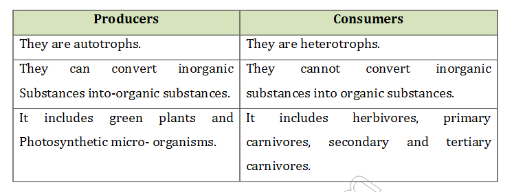 Study notes for Delhi Public school: Our Environment CBSE Class 10 ...