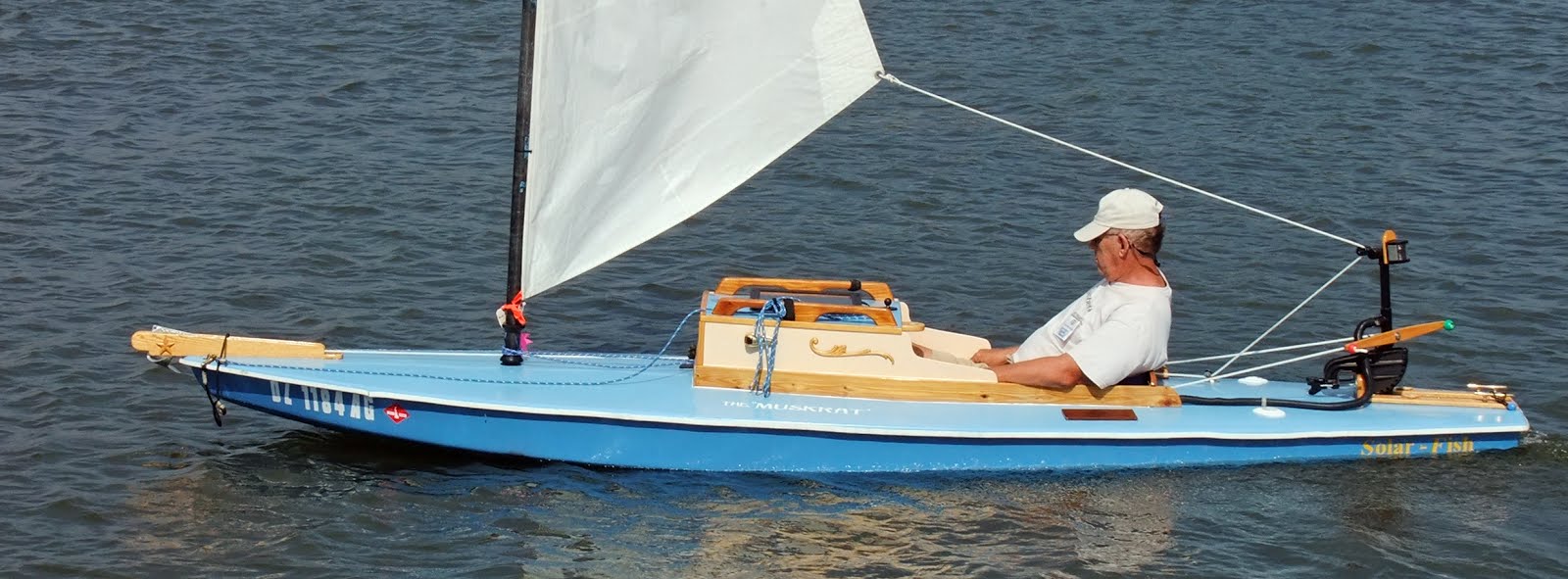 Earwigoagin: Sunfish Frankenboat; The Solar Fish