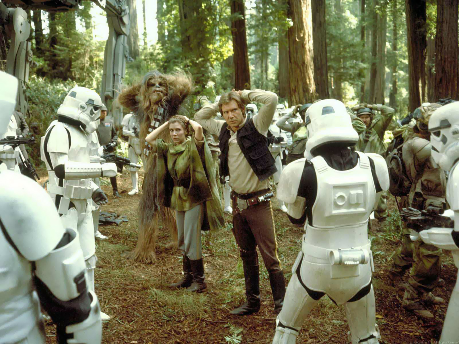 One Mom's Musings: An Afternoon on Endor