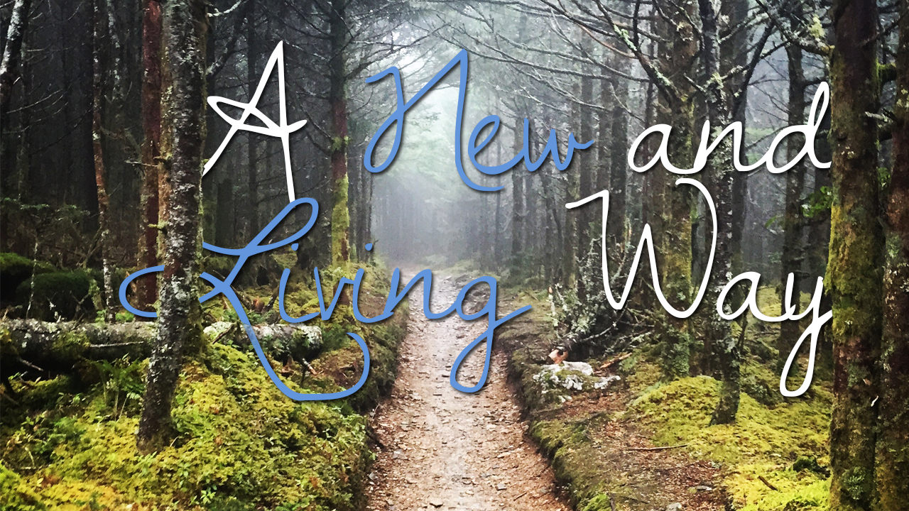 Emmaus Road Ministries: A Seared Conscience