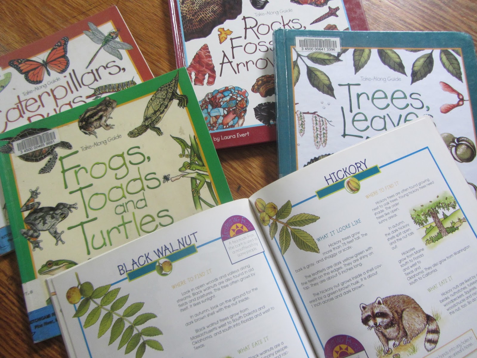 The Unlikely Homeschool: Top Nature Study Series and Field Guides for ...