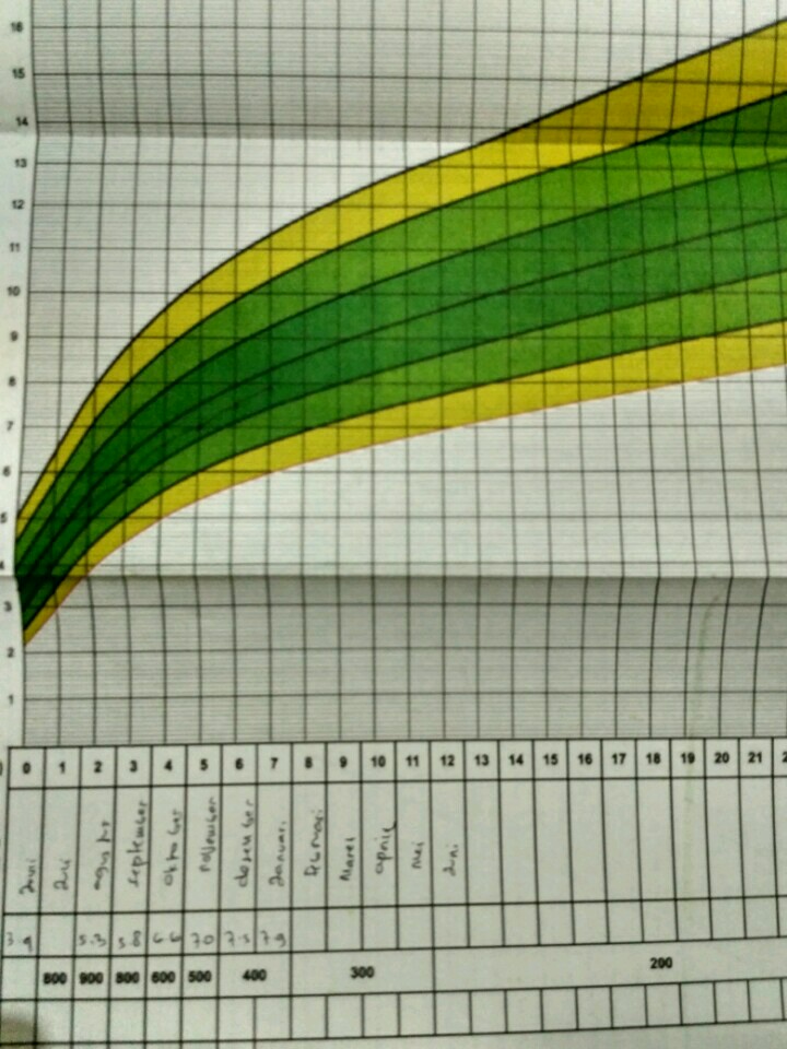 Review: Pentingnya buku KIA untuk kesehatan ibu dan anak - Sweet Home
