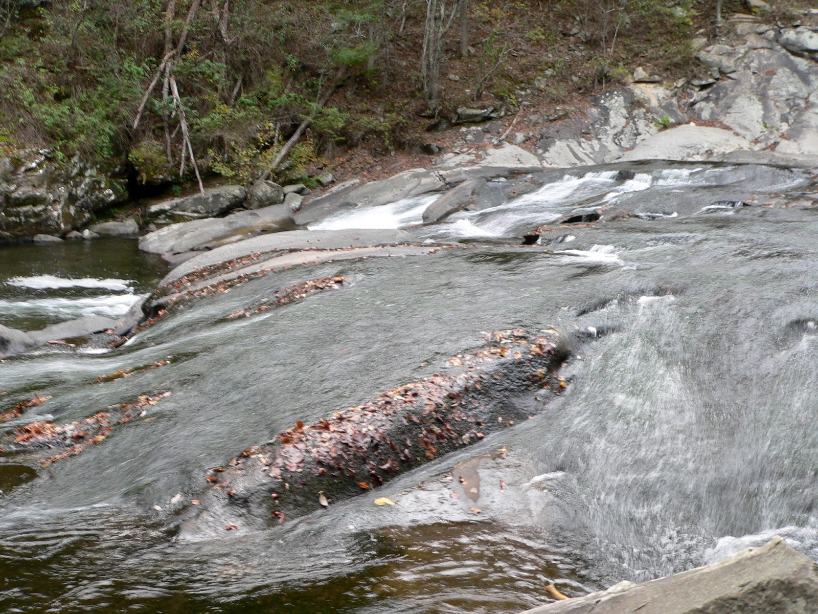 American Travel Journal: TBT: Tellico River and Bald River Falls ...