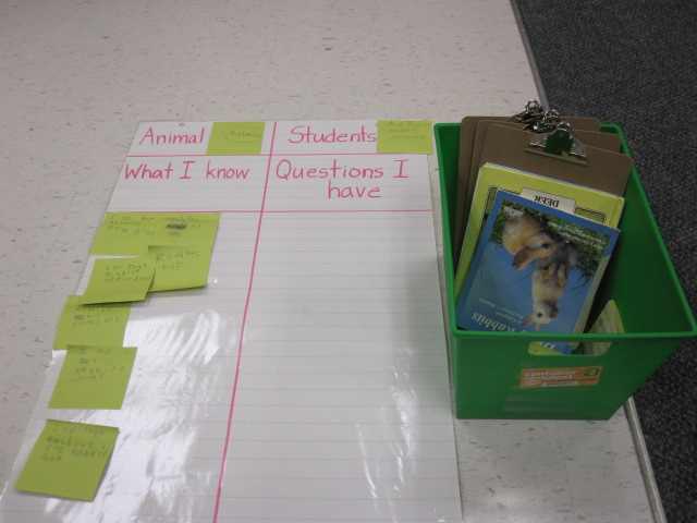 Inquiry-Based Learning: Primary Inquiry