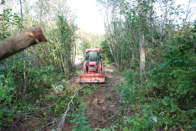 Ferme du Sault: Chemin forestier