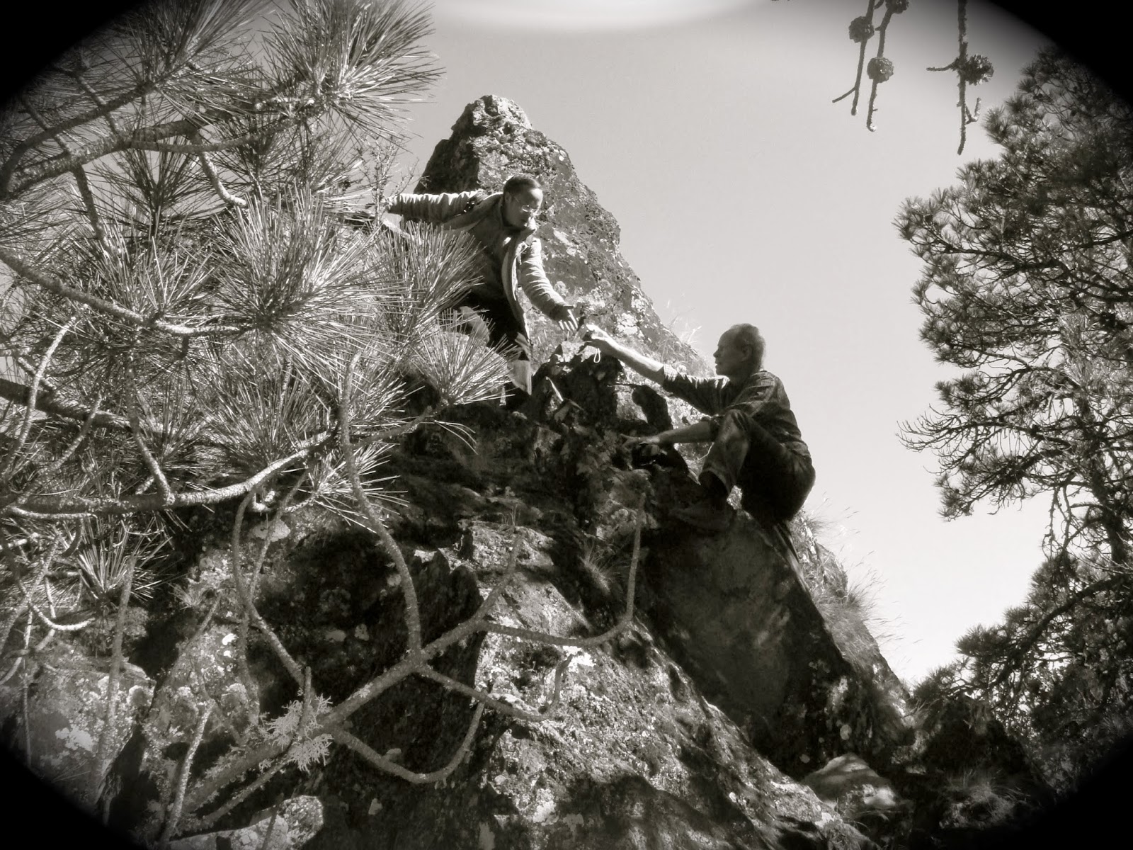 THE PLANT HUNTERS |The Garden of Eaden