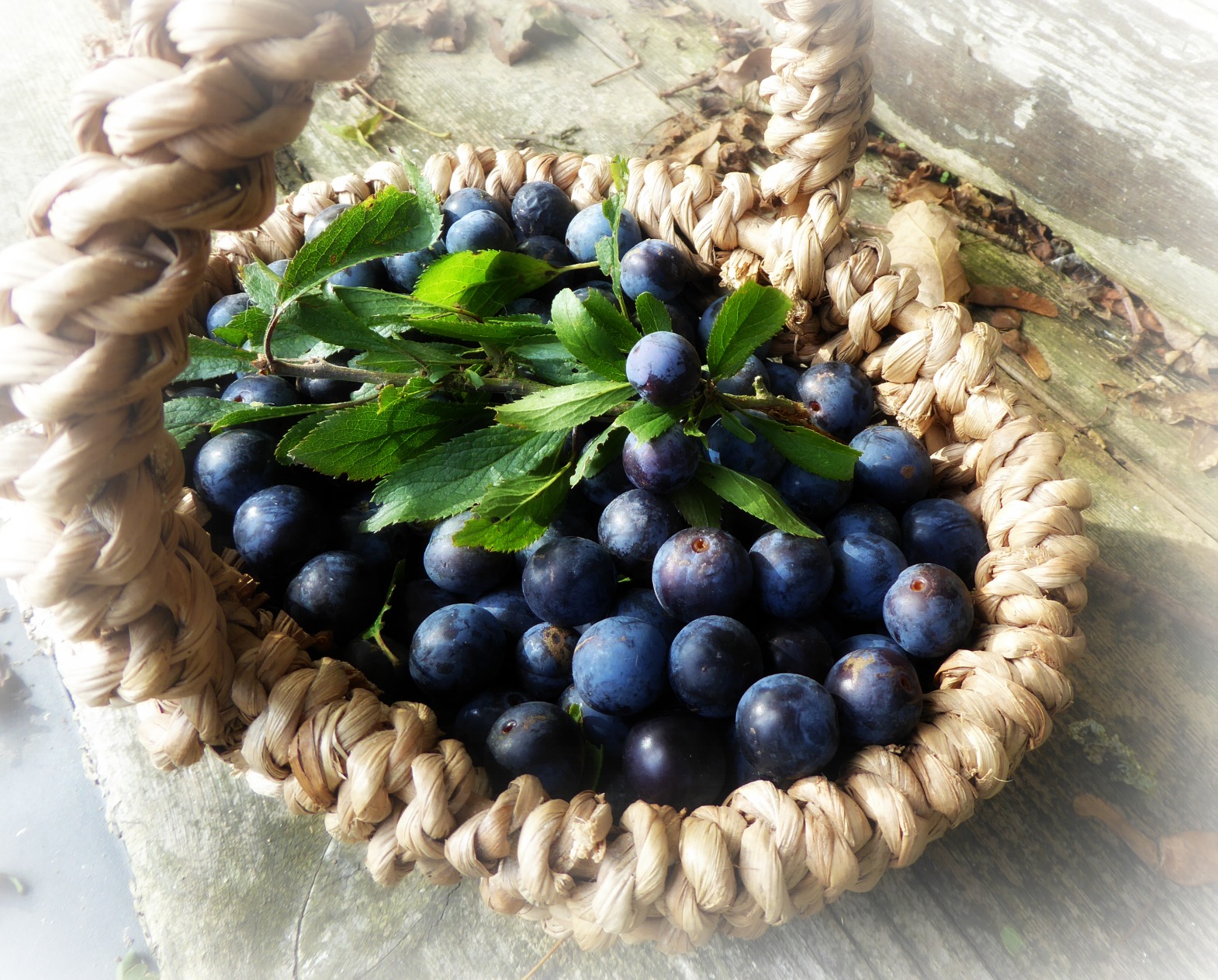 Pear Tree Kitchen: Gin and Sloes