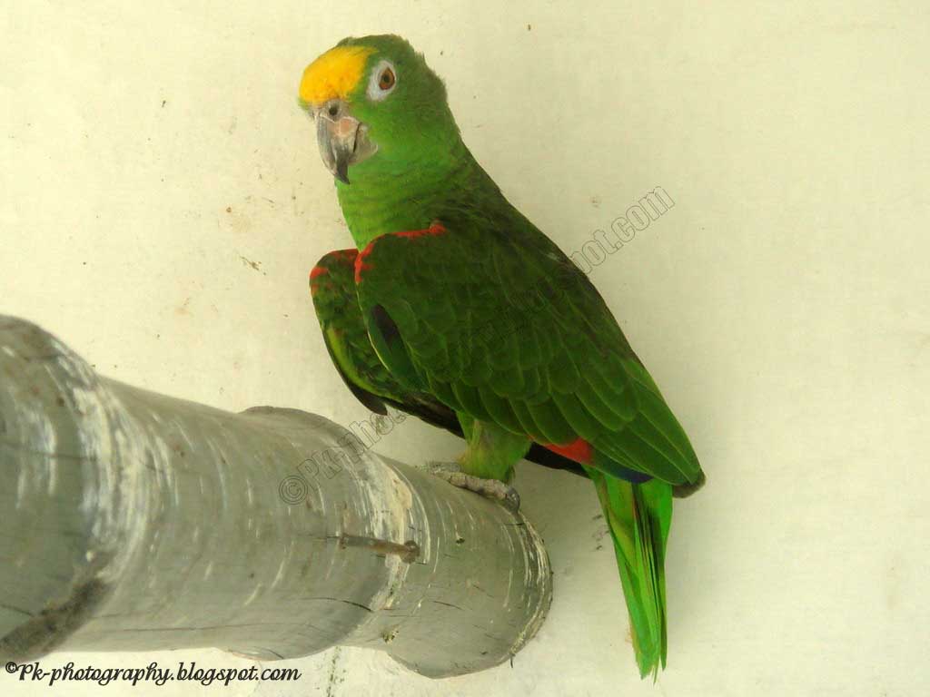 Nature, Cultural, and Travel Photography Blog: 12/1/12 - 1/1/13