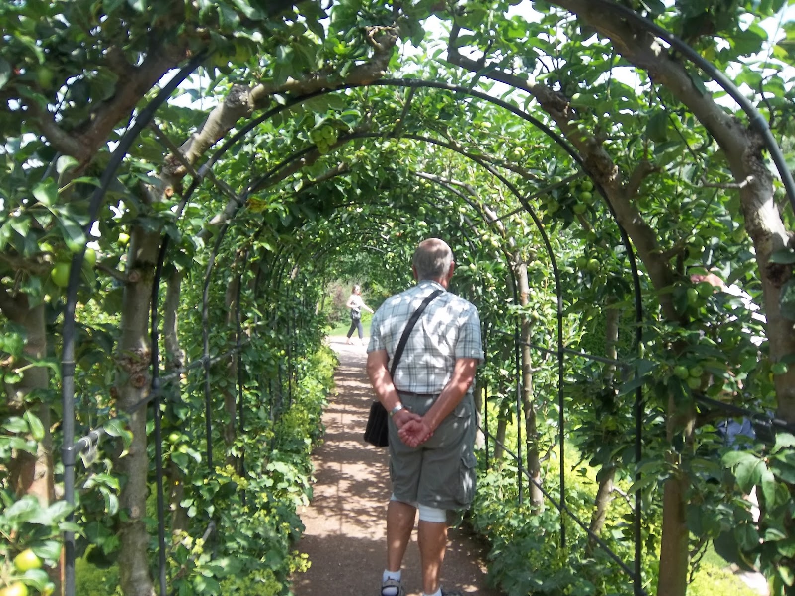 kiwibird: Barnsdale Gardens