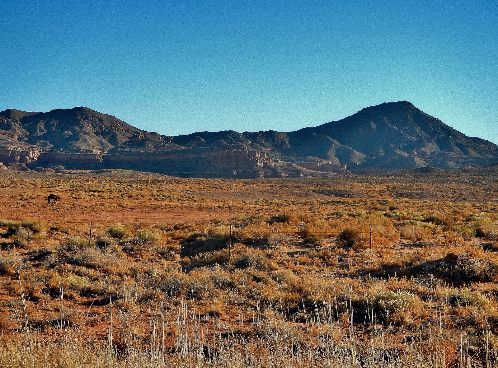 The Southwest Through Wide Brown Eyes: Continuing Down Route 191 ...