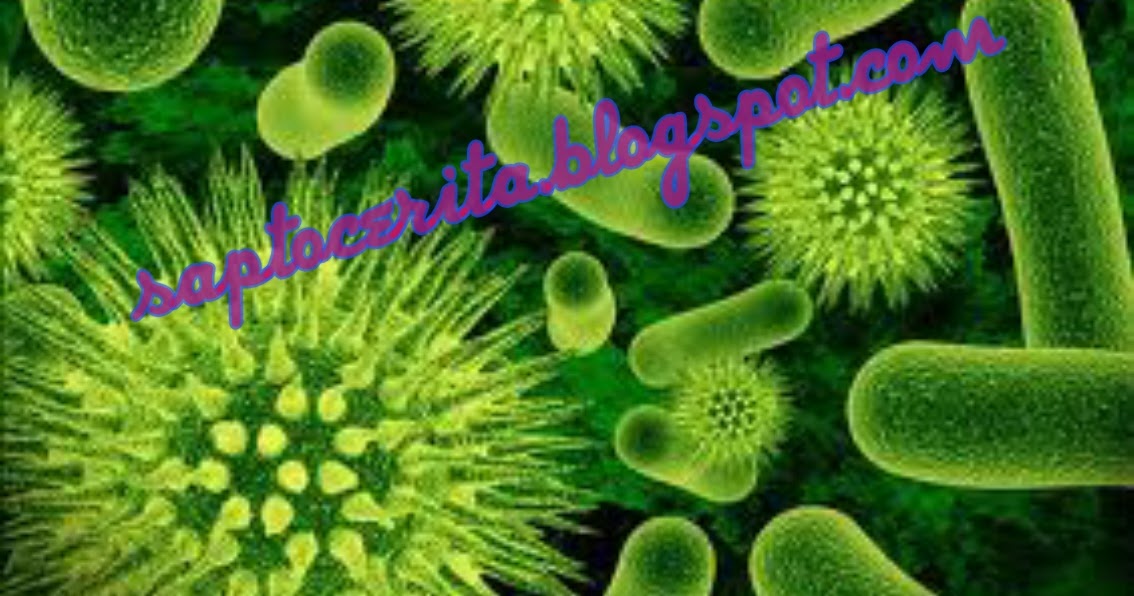 Bakteri patogen dan non patogen