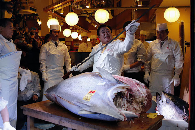 Pix Grove: World's Most Expensive Bluefin Tuna
