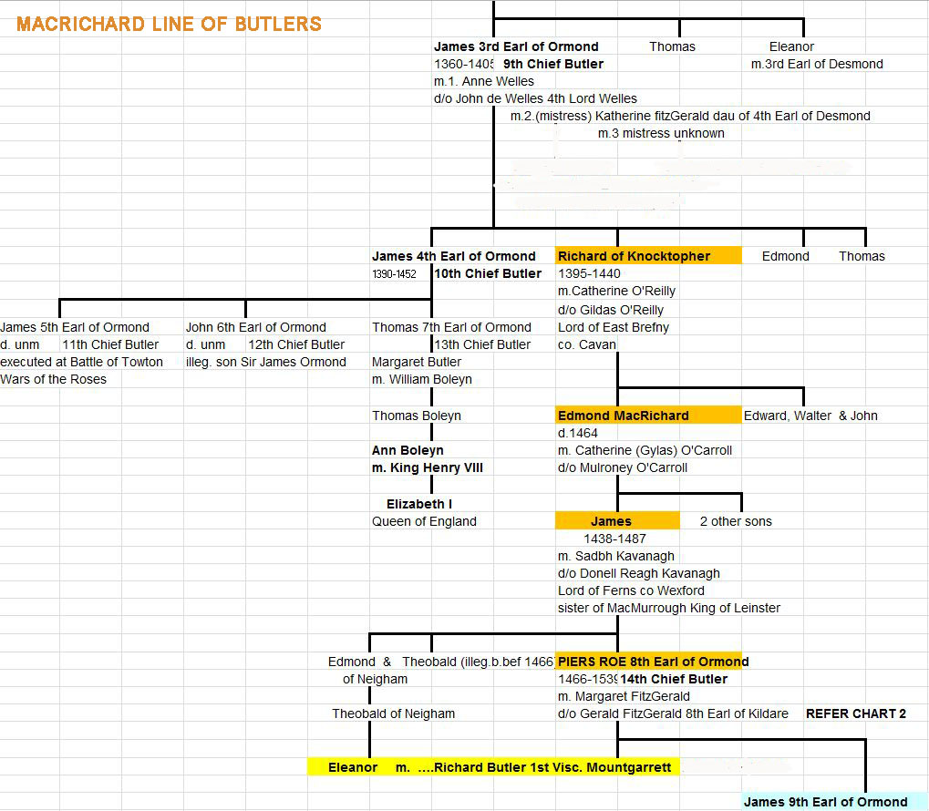Butler Genealogical History in Ireland: History of the Butlers ...