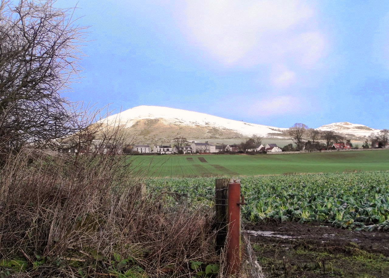 Largo Baywatch: First Winter Covering of Snow on Largo Law