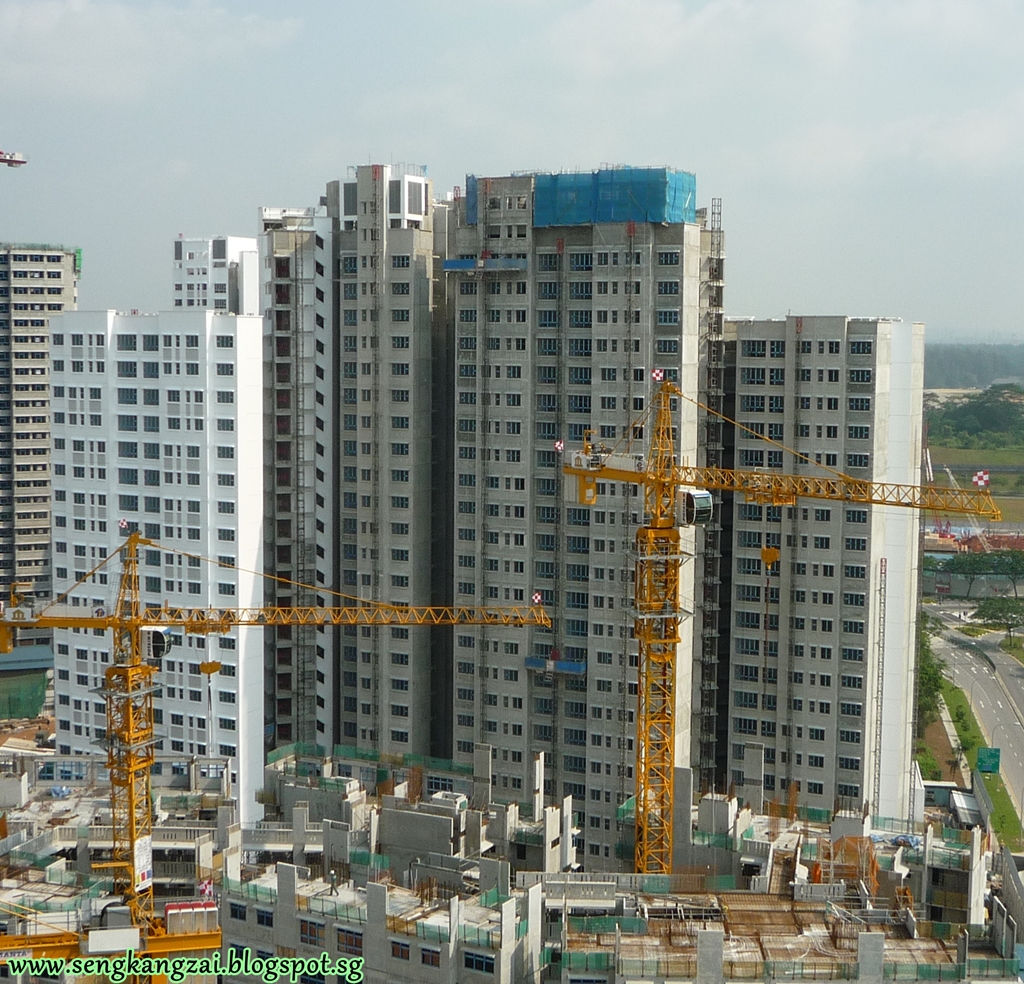 Zai@Sengkang: Fernvale Ridge Snapshot (Completed)