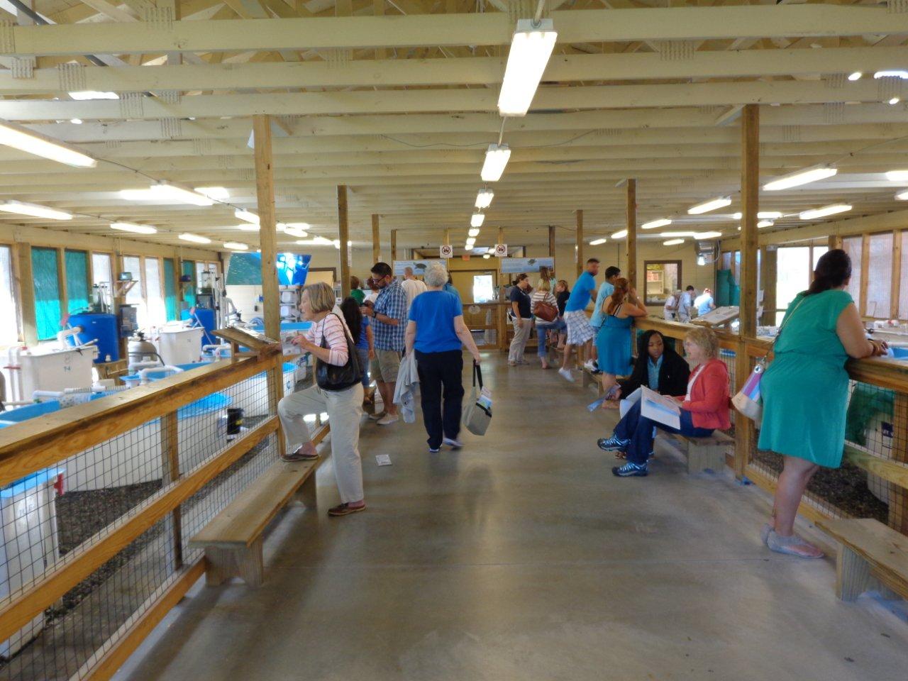 Travels Without Charley: Enjoying Steinbeck's America: 4/6 Georgia Sea ...