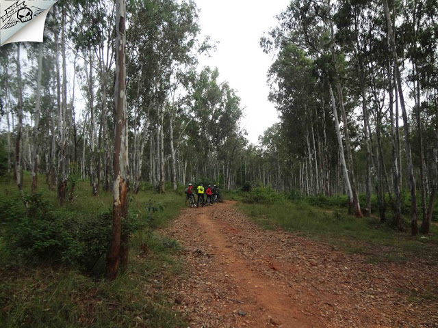 Cycling to Turahalli Forest - Burning that extra fat - Bangalore ...
