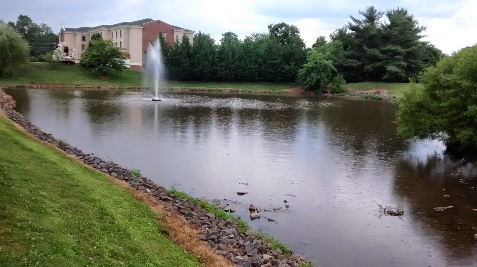 The Acute Angler: June 8 2014 - Stormwater Pond