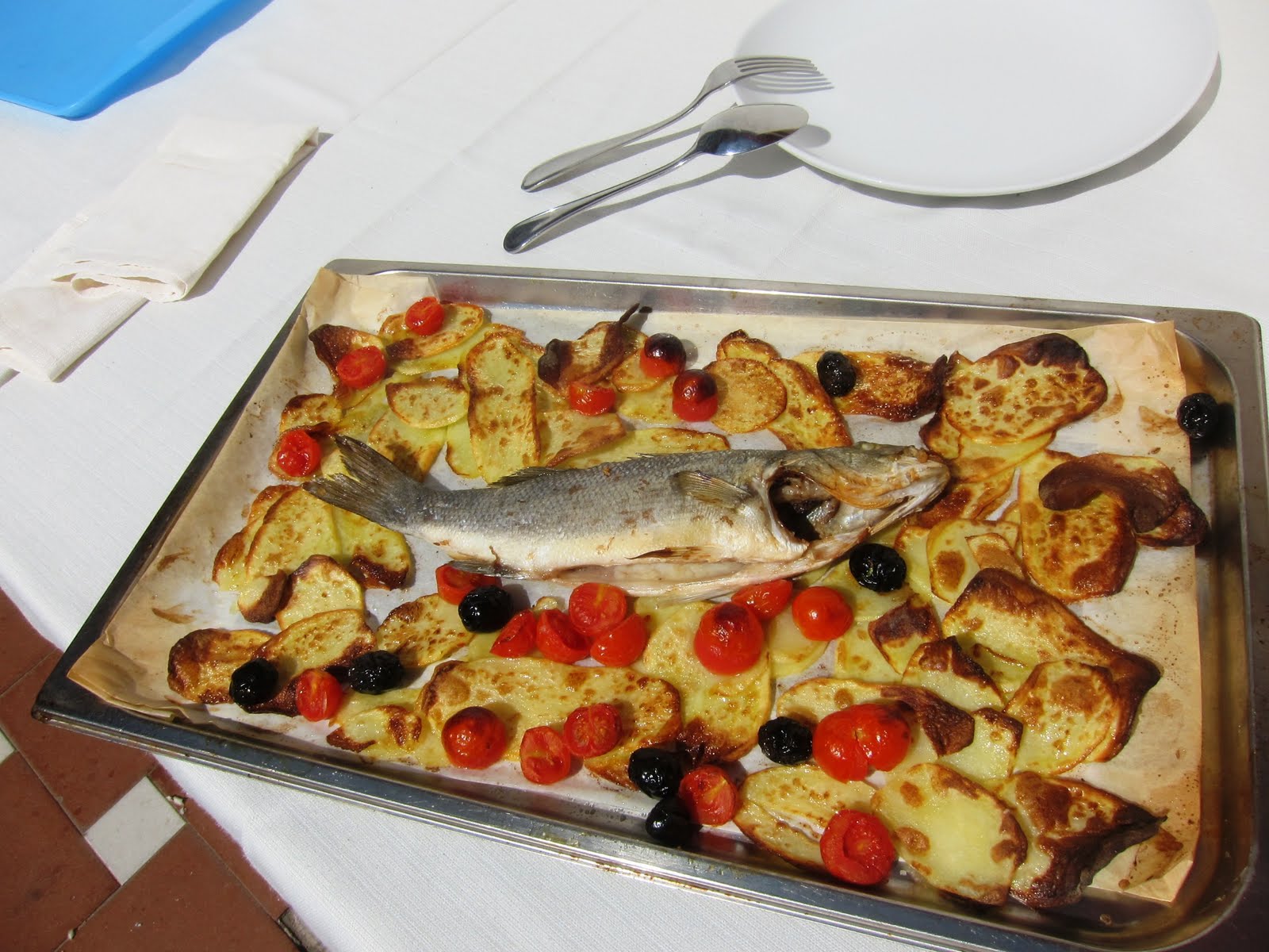 Fregene – Magari Blu Viagens