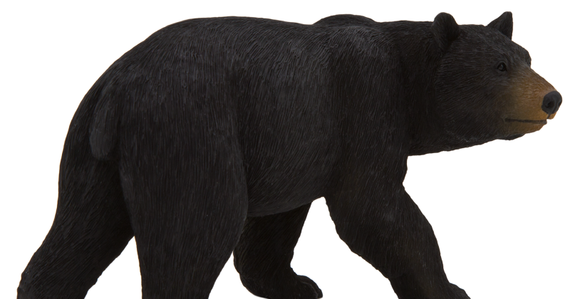 Hindi Alphabet for Kids: भ