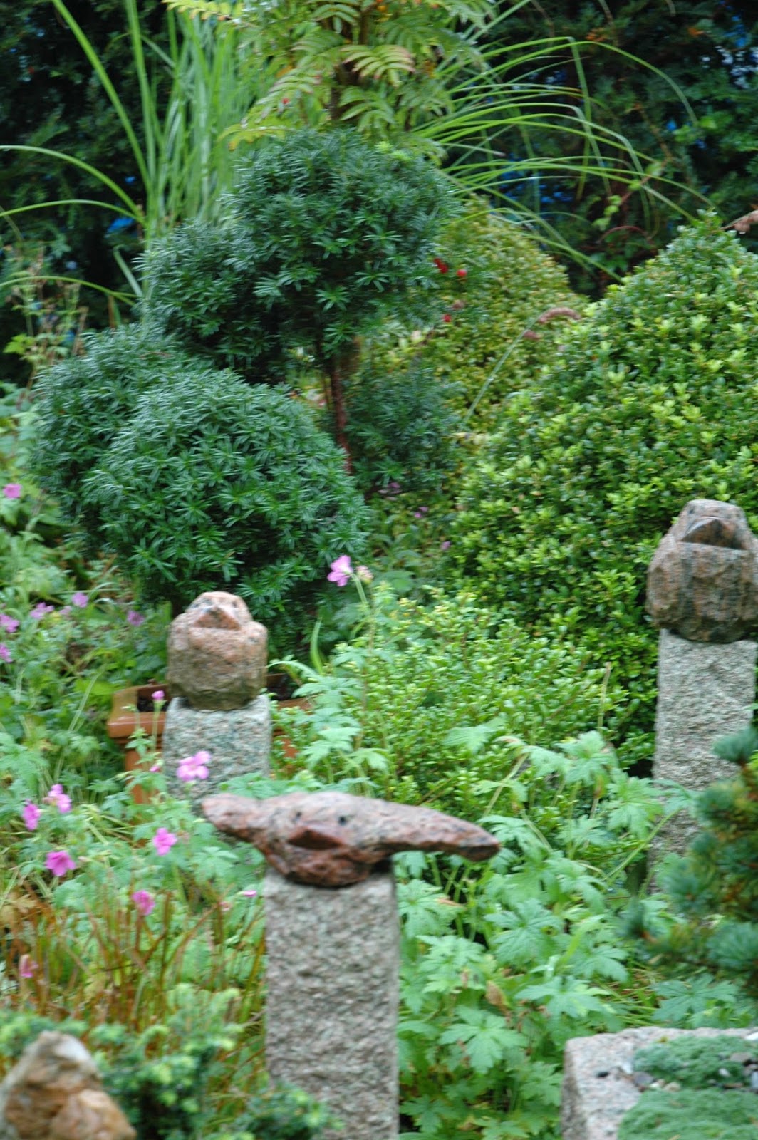 HAVETID: Sten og planter og hvad haven i ørvigt rummer.