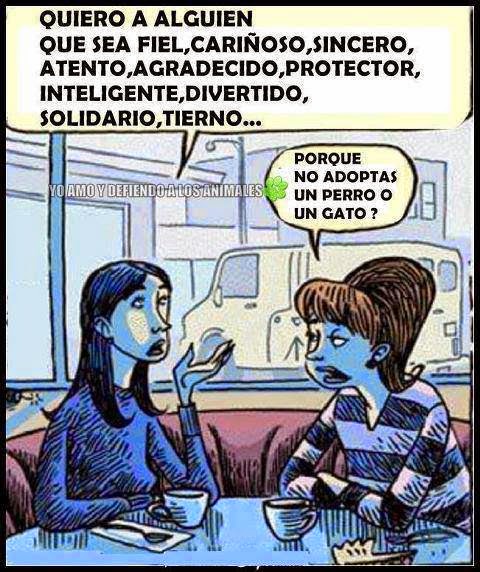 Humor Sano