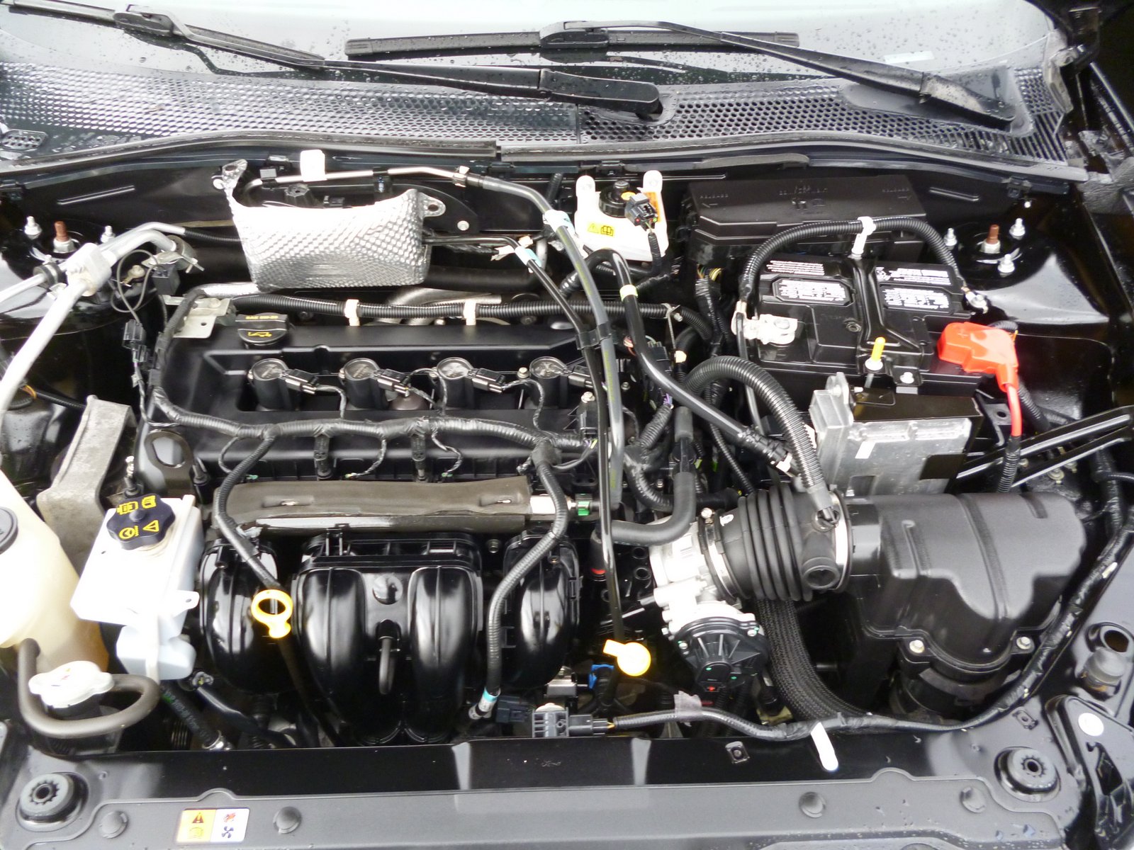 Gamblin Motors: 2009 Ford Focus SES