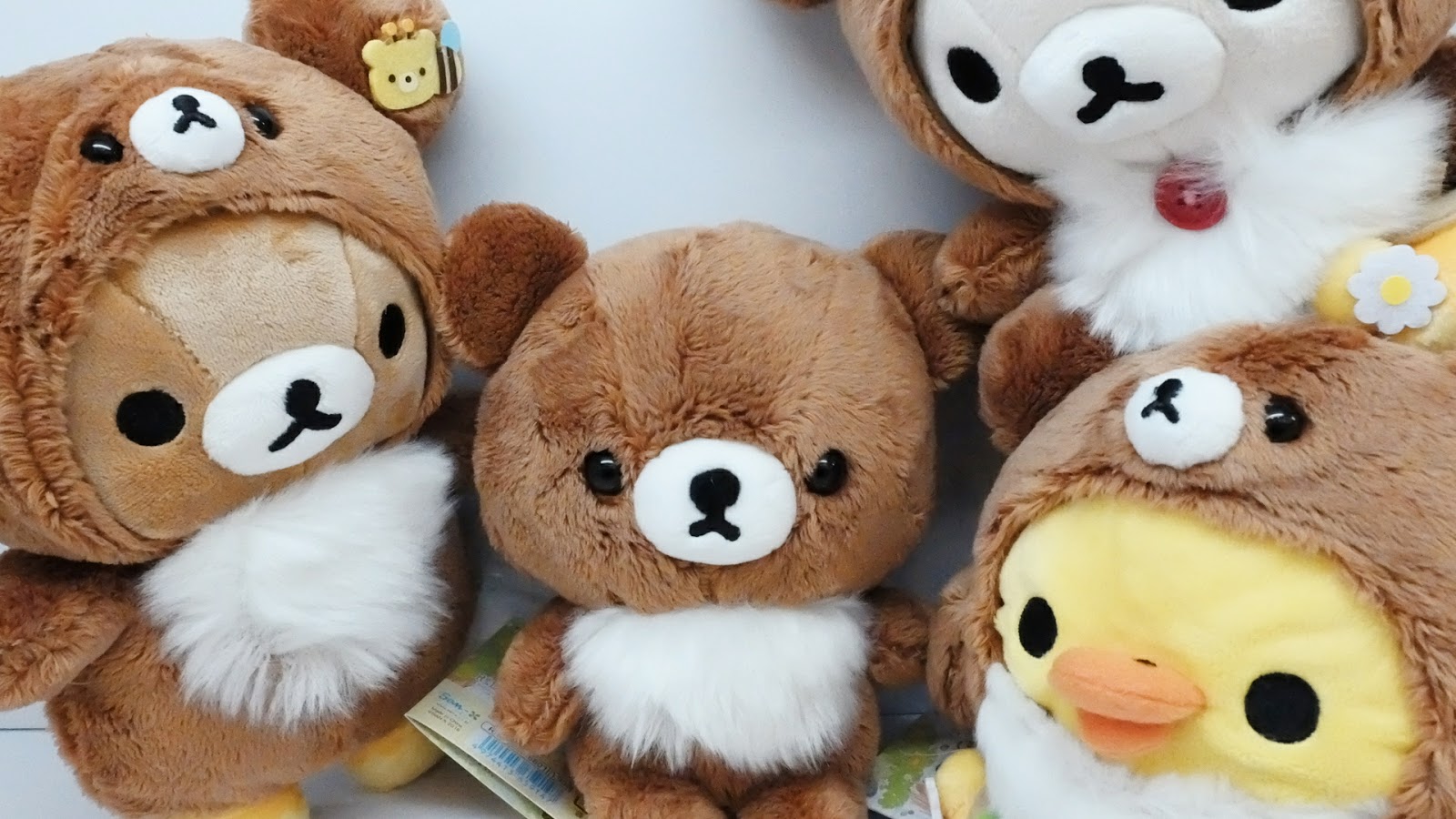 Koguma-chan is here in Seimon-Cho | Seimon-Cho, Your gateway to ...